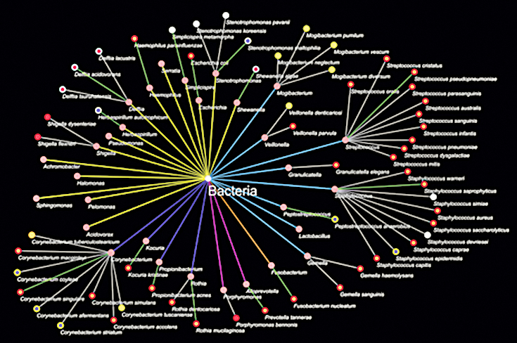 Ny teknik hittade fler patogener i blodet vid hematologisk cancer ...